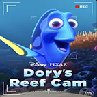 دانلود انیمیشن دوربین صخره ای دوری Dory's Reef Cam 2020